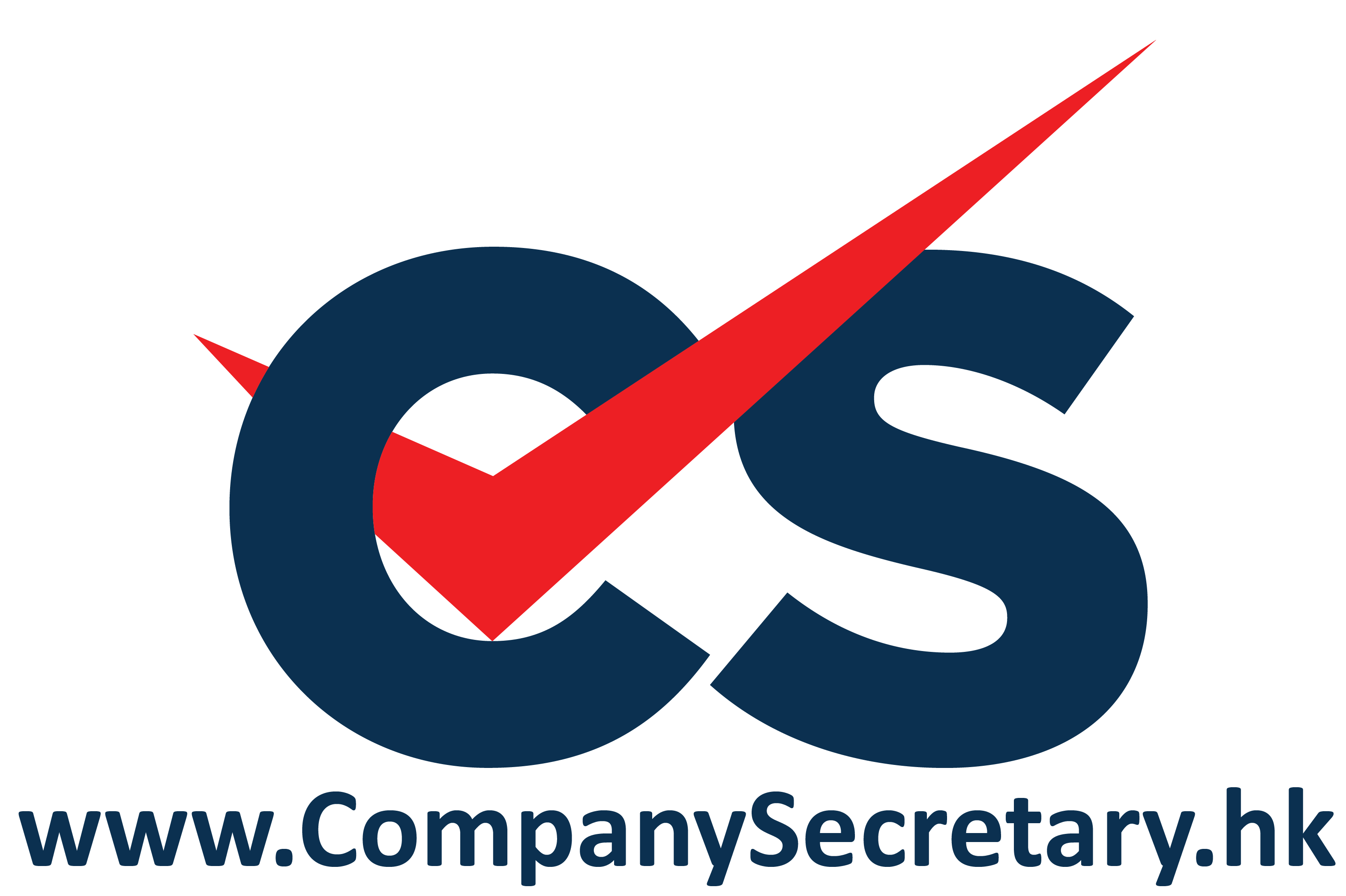 Company Secretary Logo